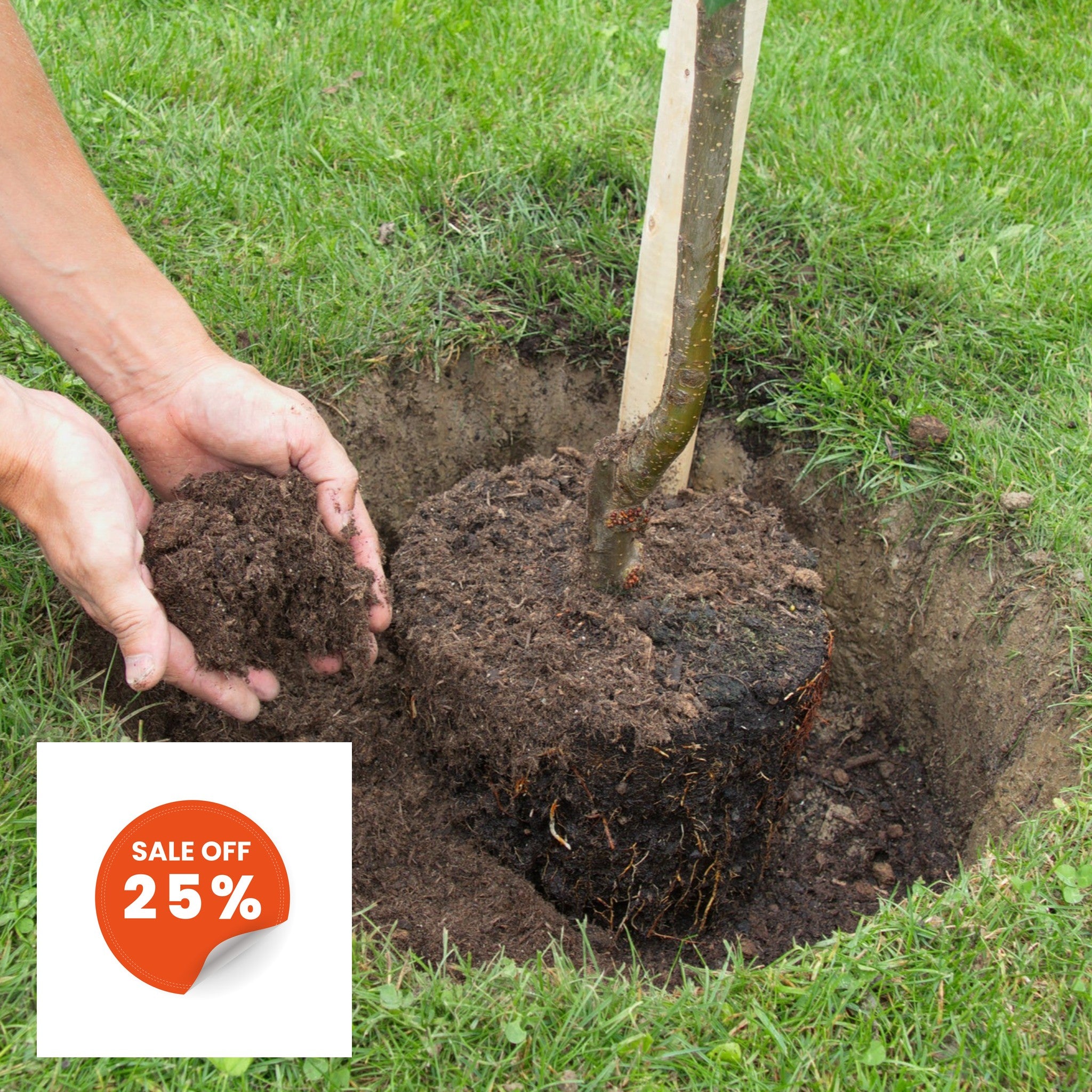 Topsoil for Trees & Shrubs – Topsoil & More